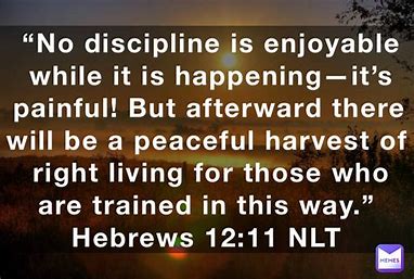 THE EASY YOKE OF GOD'S DISCIPLINE - The Yoke Is Easy